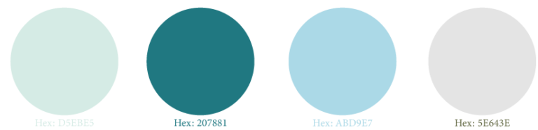 Elegant Color Palettes for Every Home in Dubai & UAE